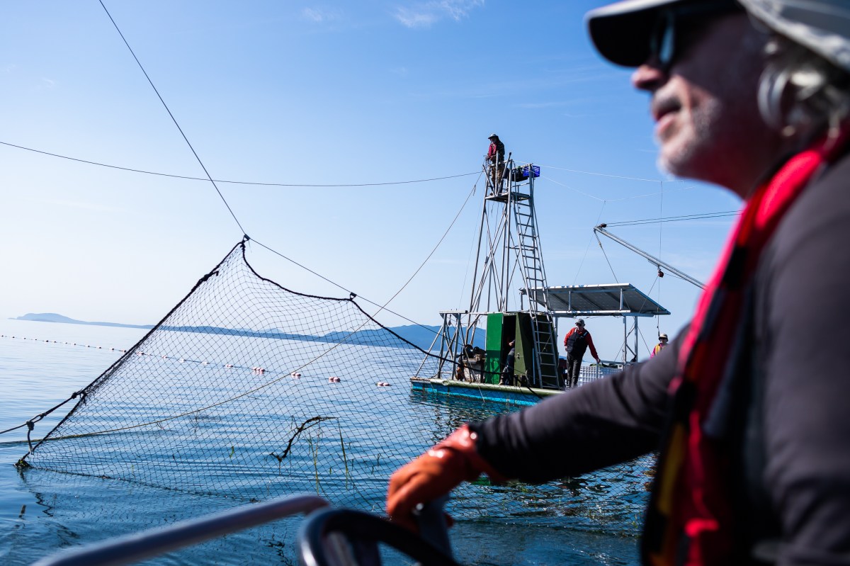 The Reefnetters of Lummi Island – Human/Nature – Cameron Karsten's ...